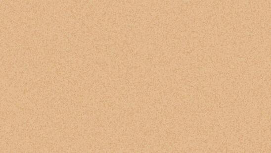 Primo SAND 0644 Primo Safe.T Homogeneous Vinyl